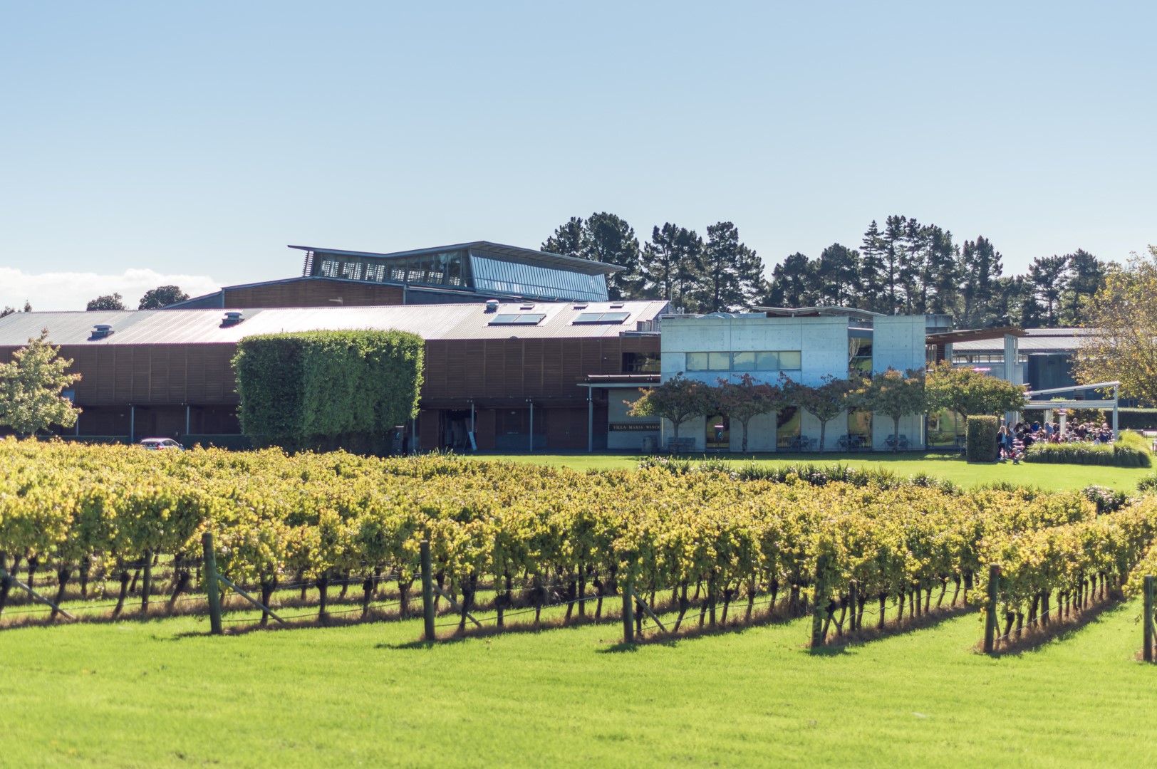 Villa Maria recognised yet again - Restaurant & Café