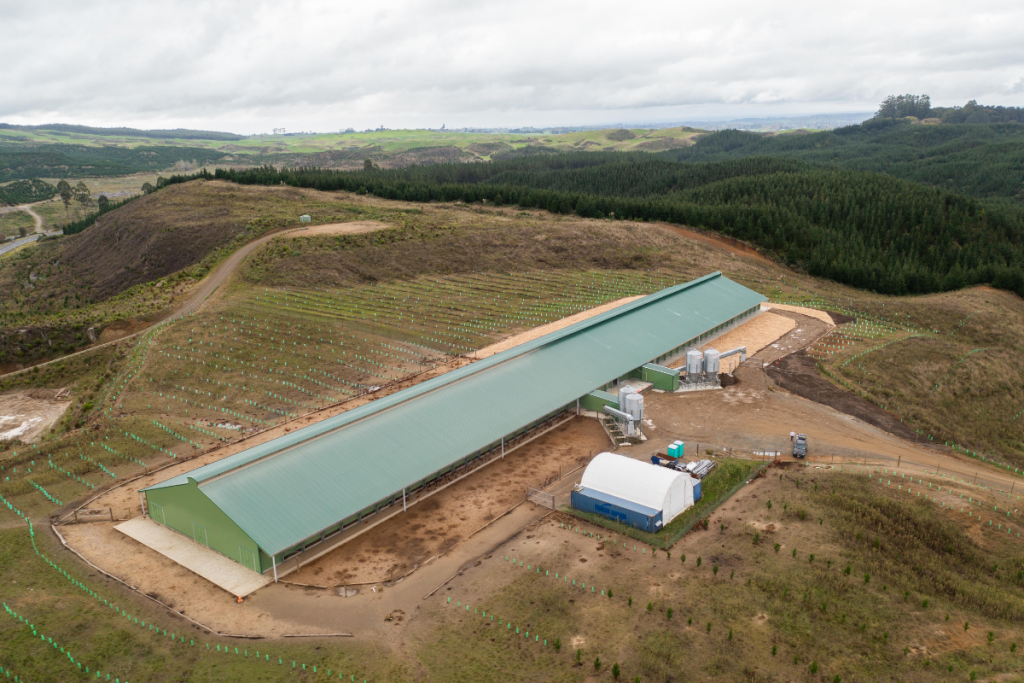 Leading Forest Free-Range Farm Opens - Restaurant & Café
