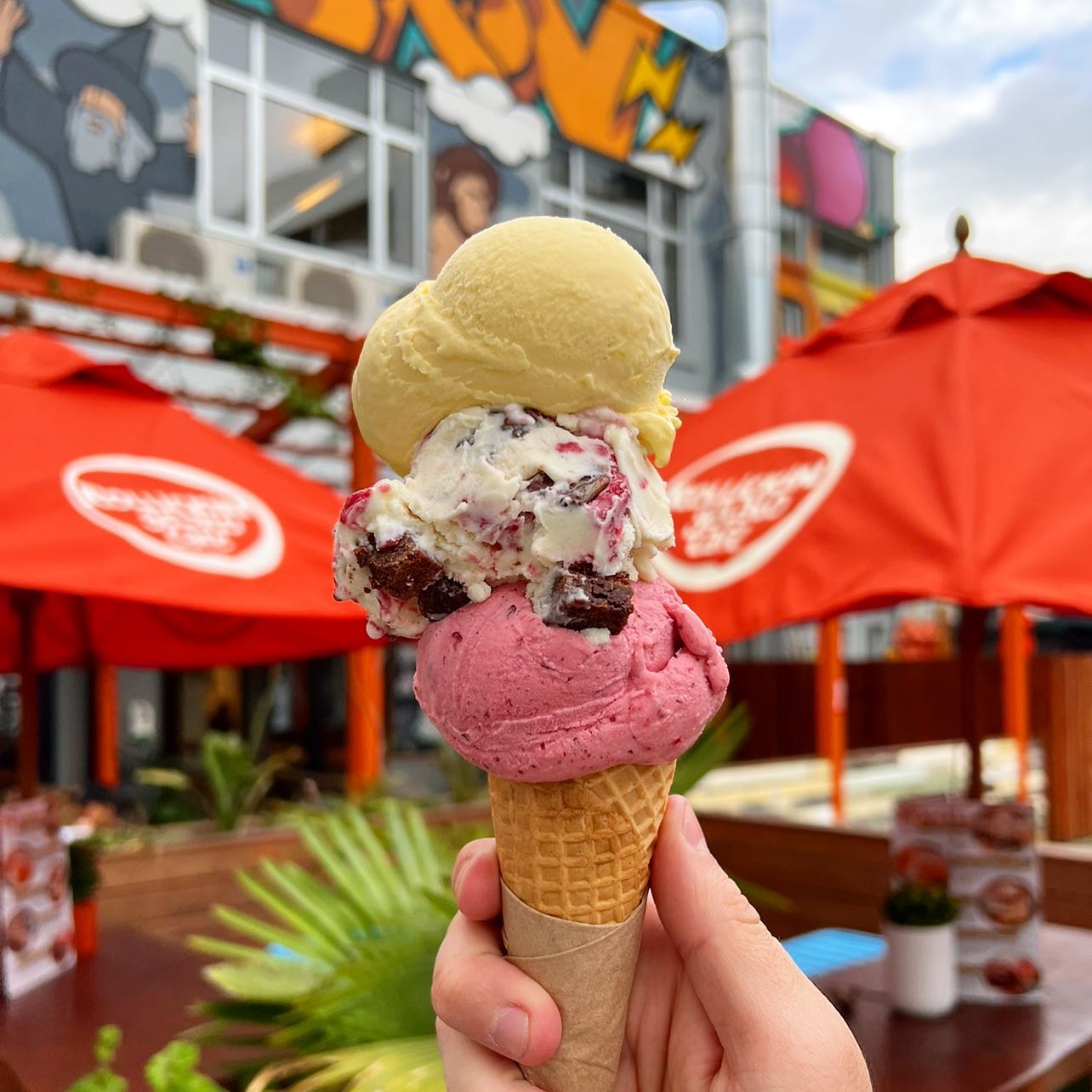 Meet the Owner: Jed Joyce, Rollickin Gelato Cafe - Restaurant & Café