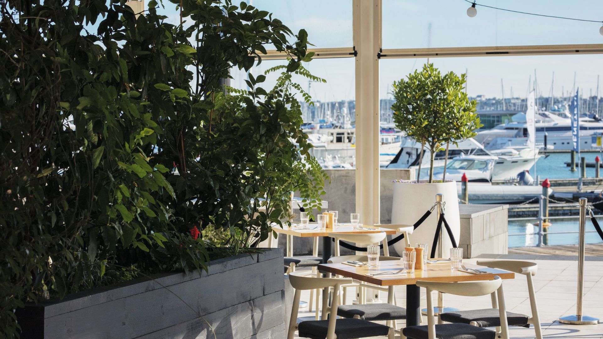 Homeland to Close - Restaurant & Café