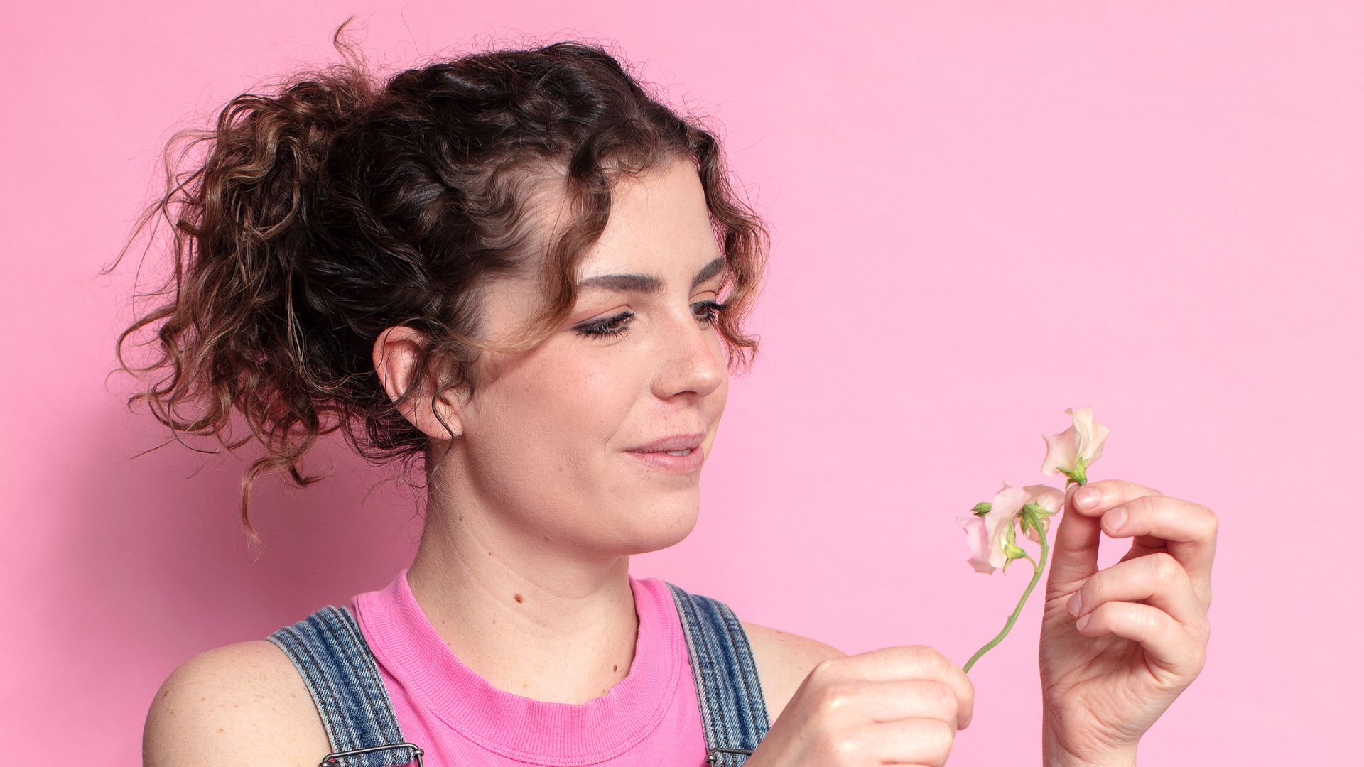 Alice Taylor's Baking Dream - Restaurant & Café